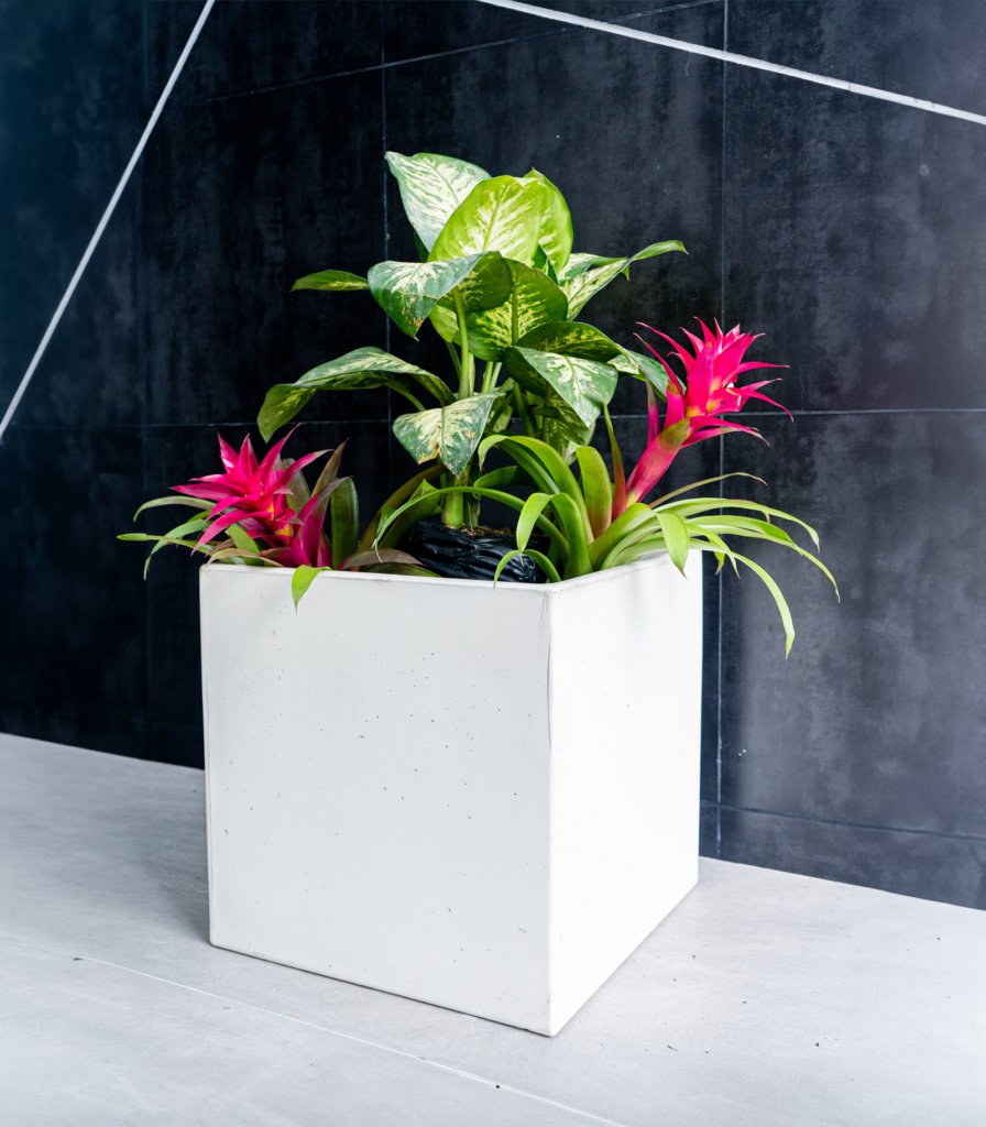 Bieton – Concreto + Diseño